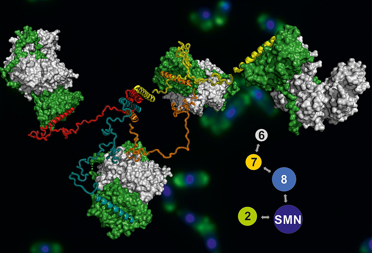 First 3D Images of a Giant Molecule