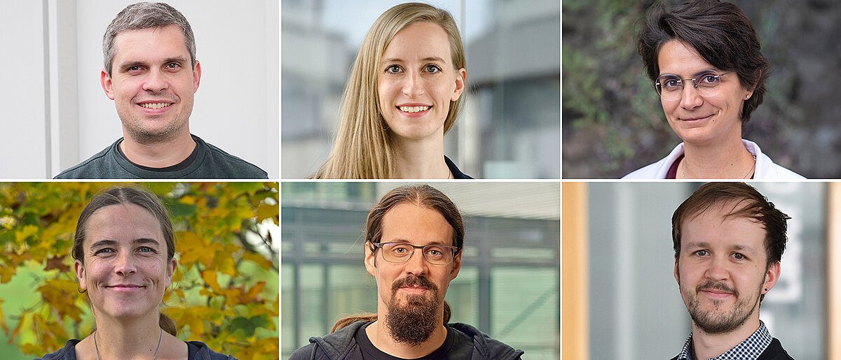 Six New ERC Starting Grants Approved