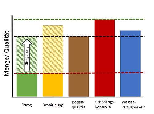 Landwirtschaft ökologisch intensivieren - einBLICK - Online-Magazin der ...